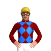 Mt Gambier Free Form Guide | Full Fields | Race 1 | Wednesday, 10th ...